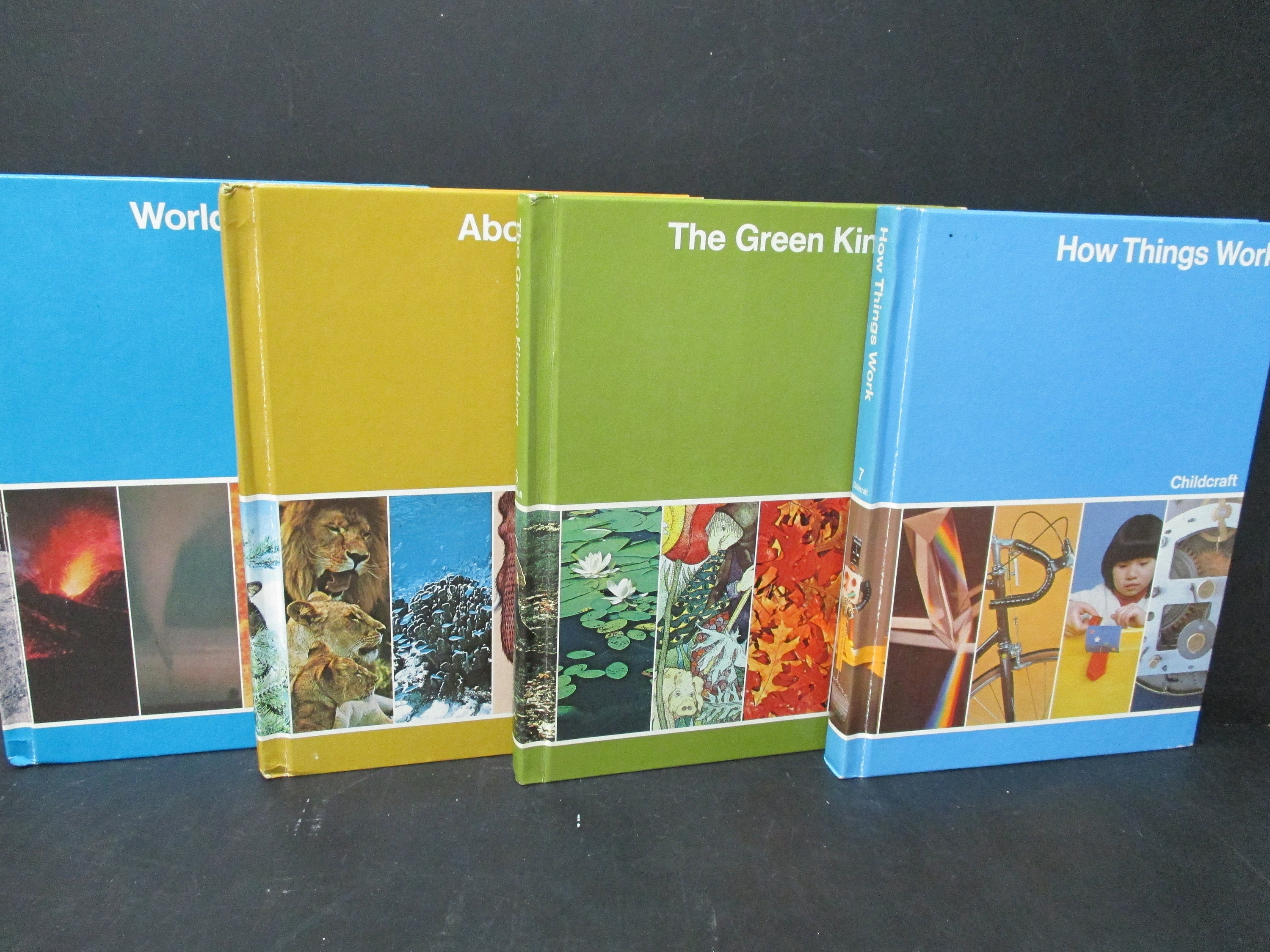 Vintage Childcraft Book Set the How and Why Library Volume - Etsy