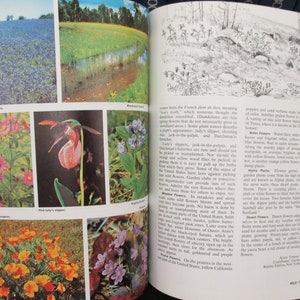 The New Book of Knowledge Book Set, Hardcover Blue Book Collection ...