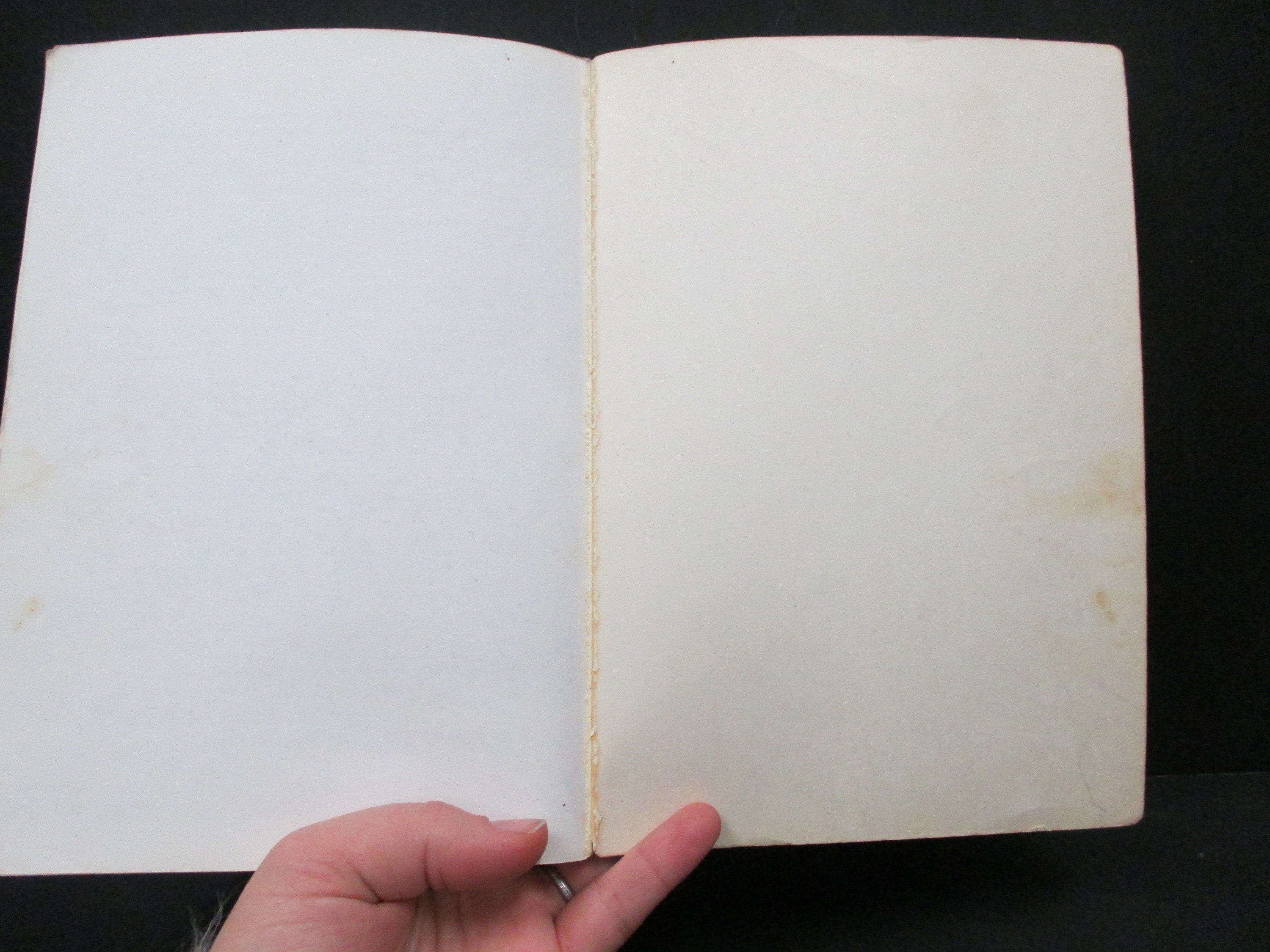 King of the Wind the Story of the Godolphin Arabian by - Etsy