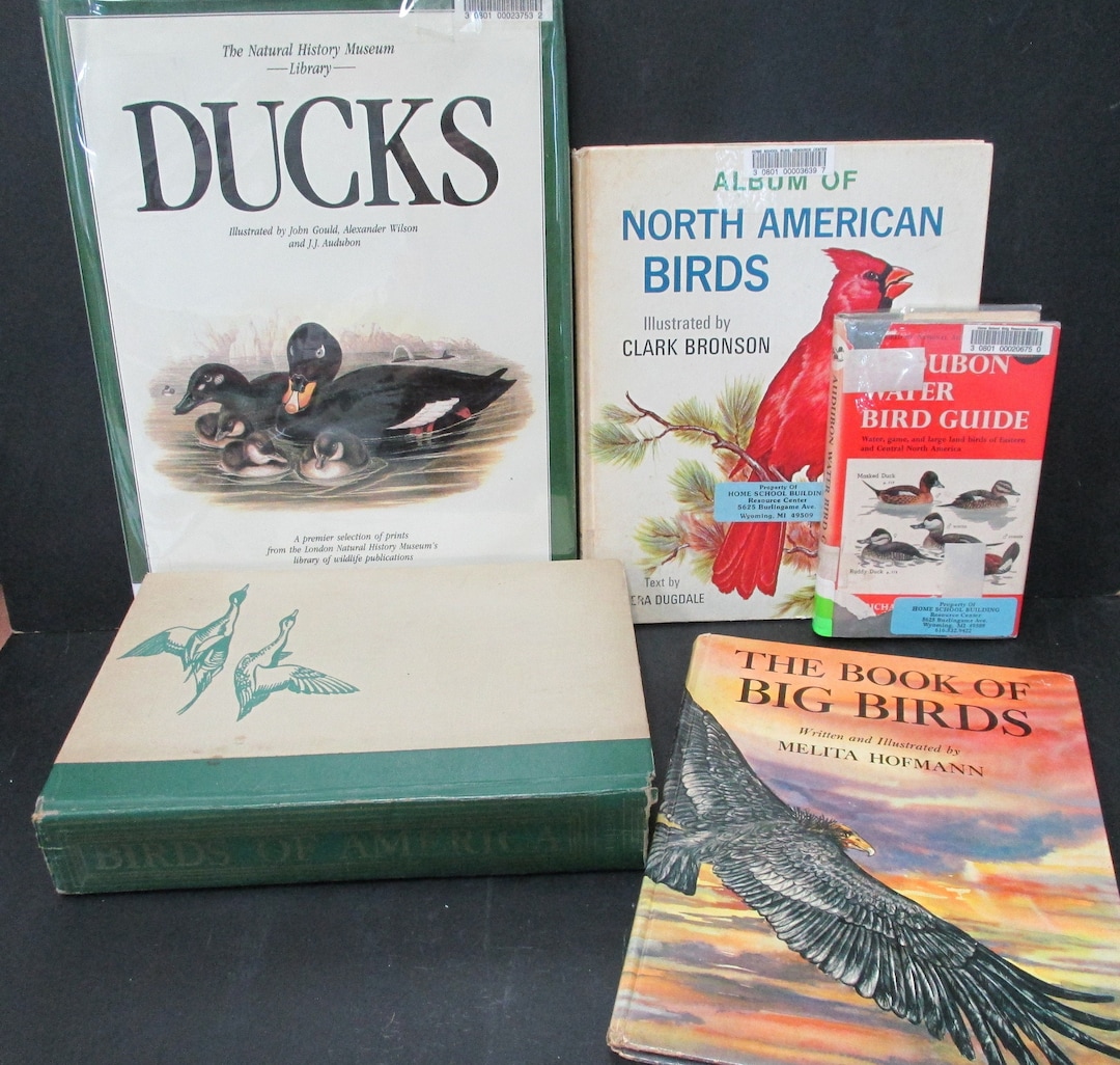 Vintage Collection of Books About Birds, Birds of America, the Book of ...