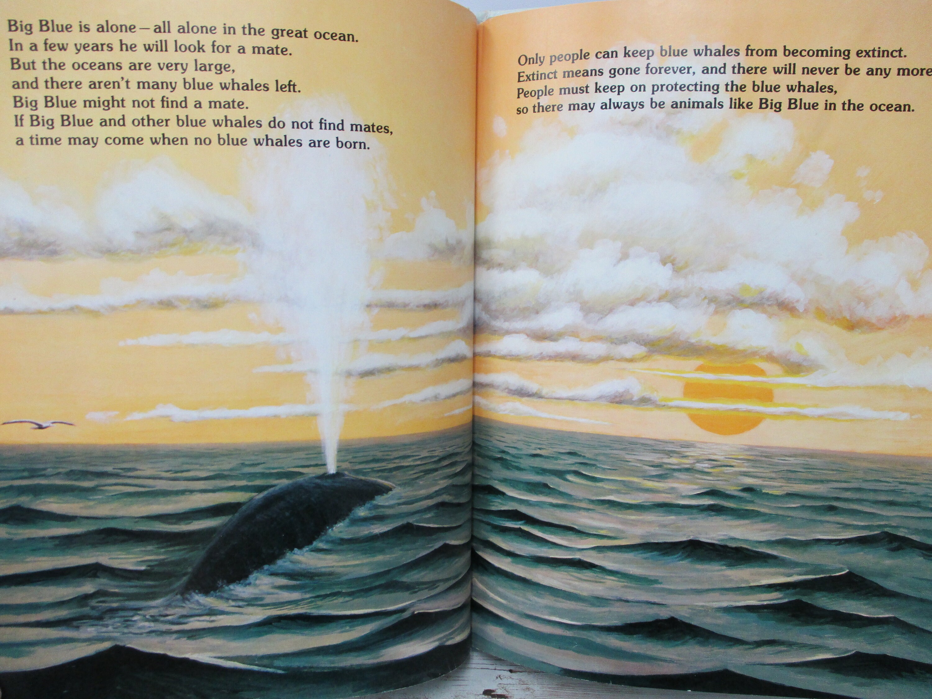 The Blue Whale by Donna Grosvenor National Geographic Society Books for ...