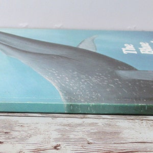 The Blue Whale by Donna Grosvenor National Geographic Society Books for ...