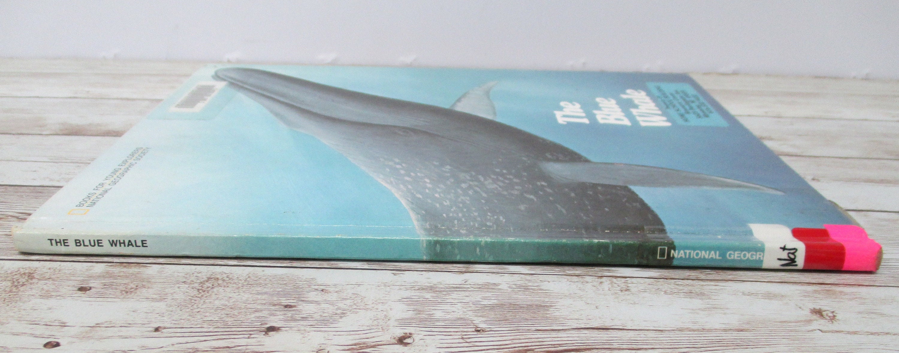 The Blue Whale by Donna Grosvenor National Geographic Society Books for ...