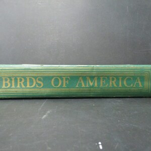 Vintage Collection of Books About Birds, Birds of America, the Book of ...