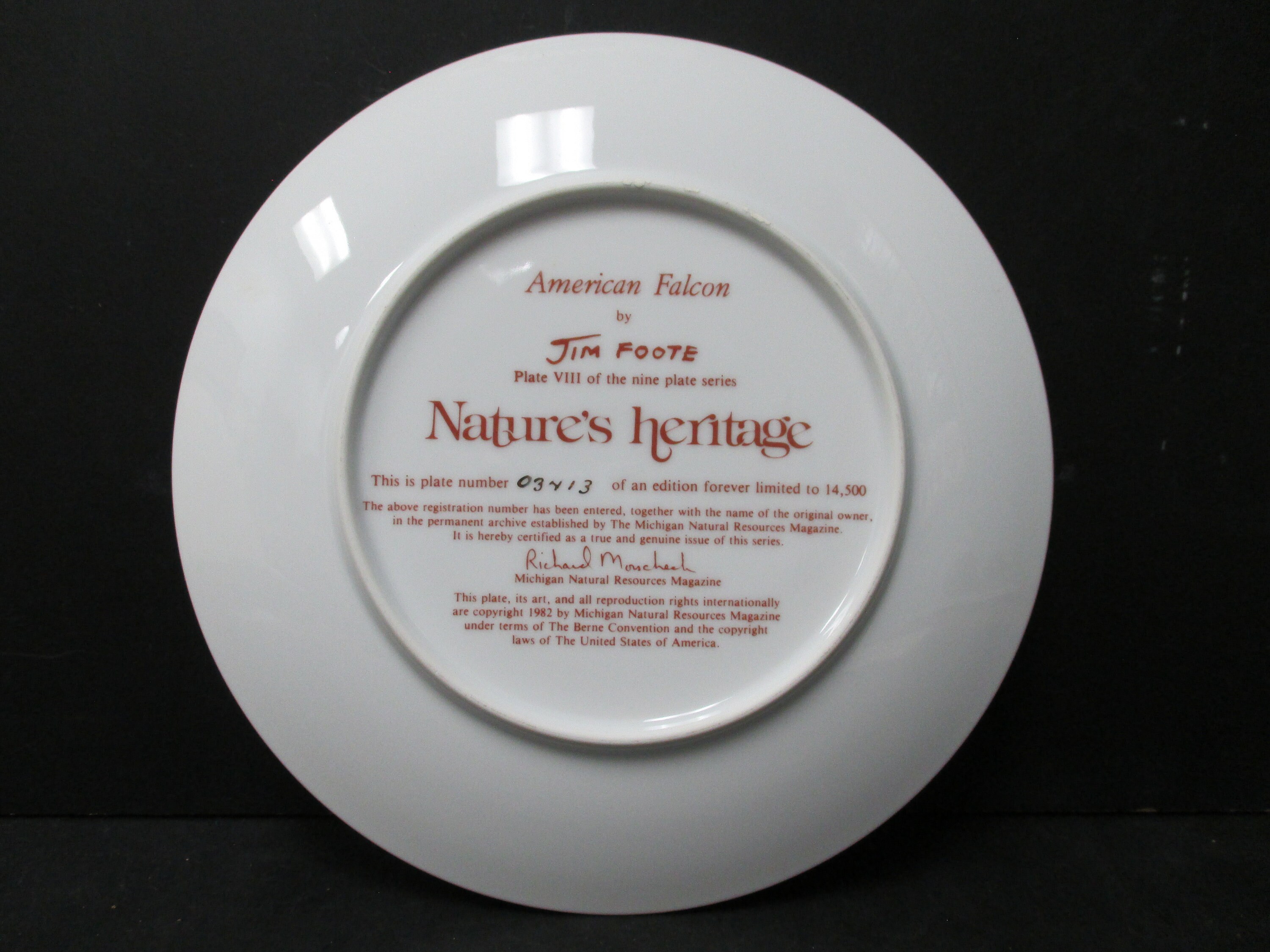 Vintage Decorative American Falcon Plate, Nature's Heritage Collection ...