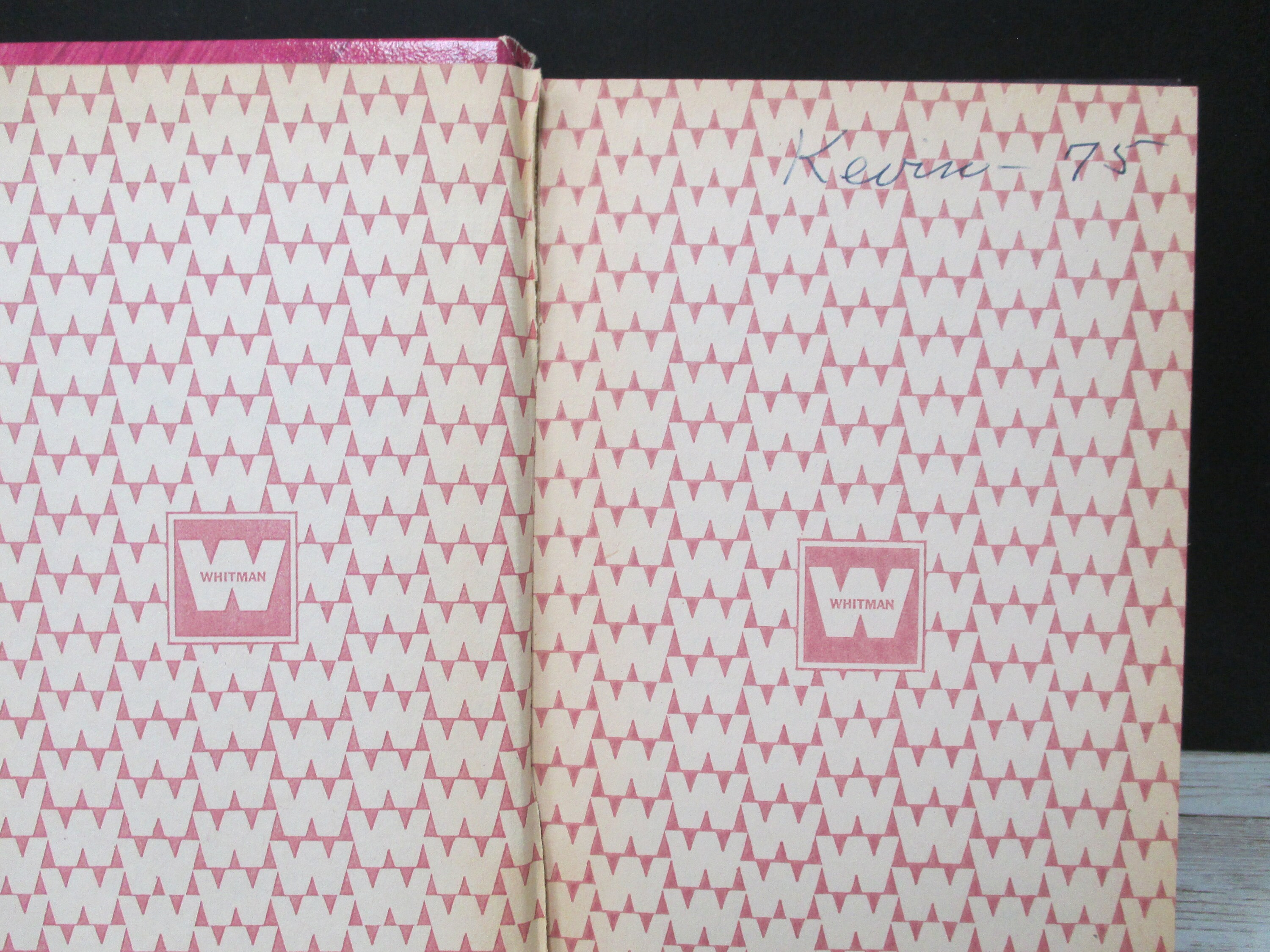 Bicycles North A Mystery on Wheels by Rita Ritchie a 1973 - Etsy