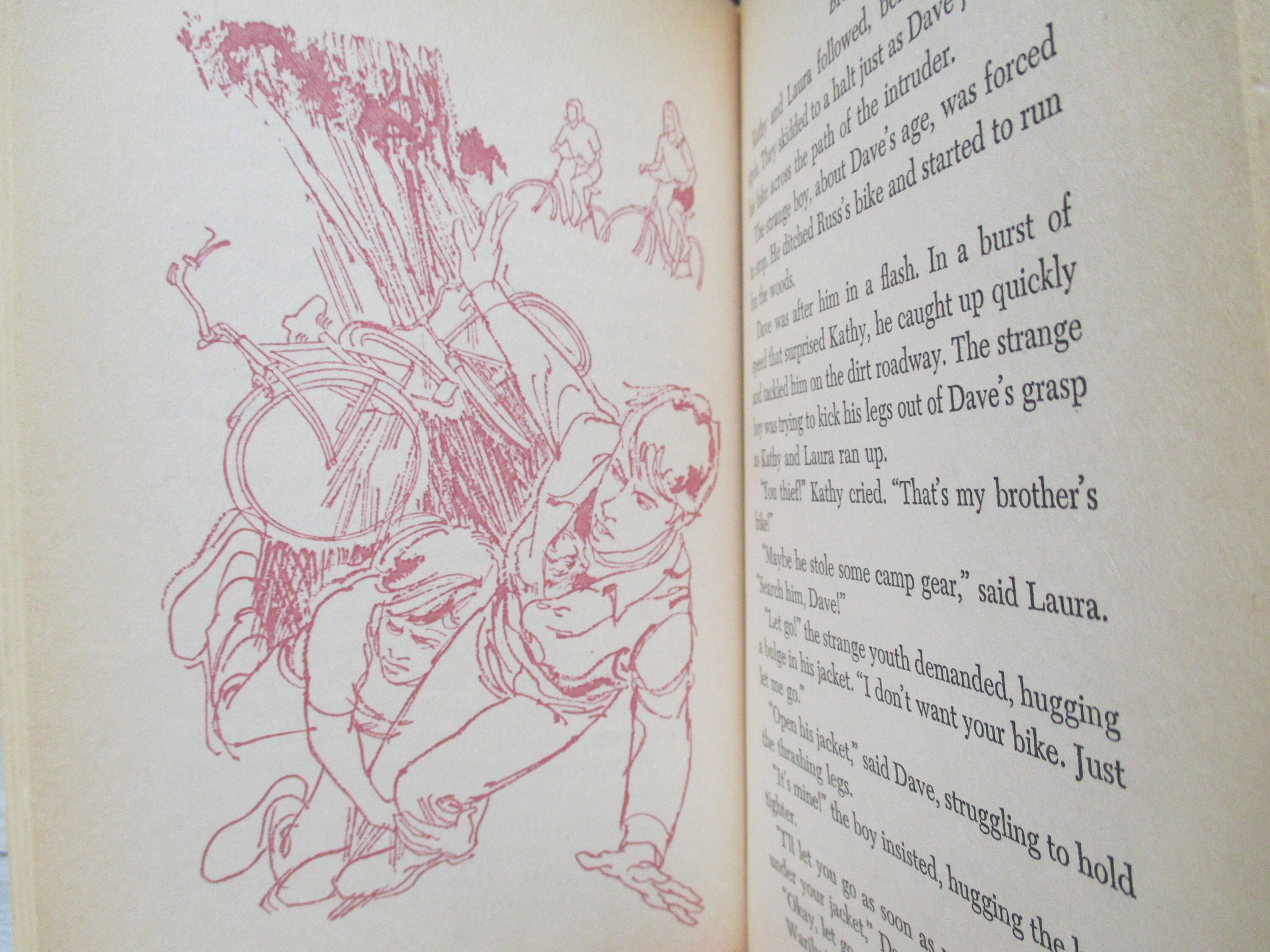 Bicycles North A Mystery on Wheels by Rita Ritchie a 1973 - Etsy