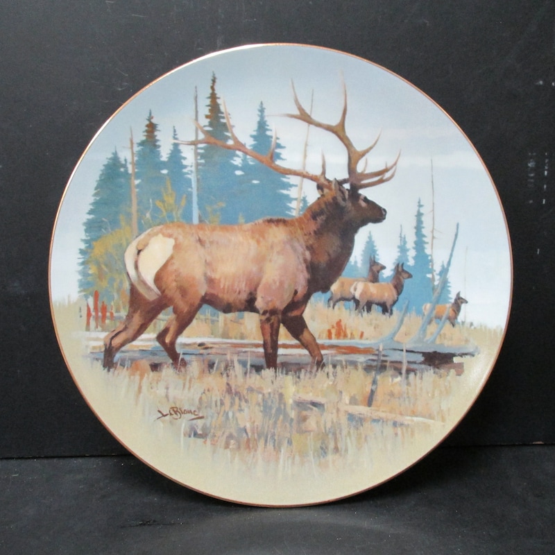 SecondMouseFinds - Etsy