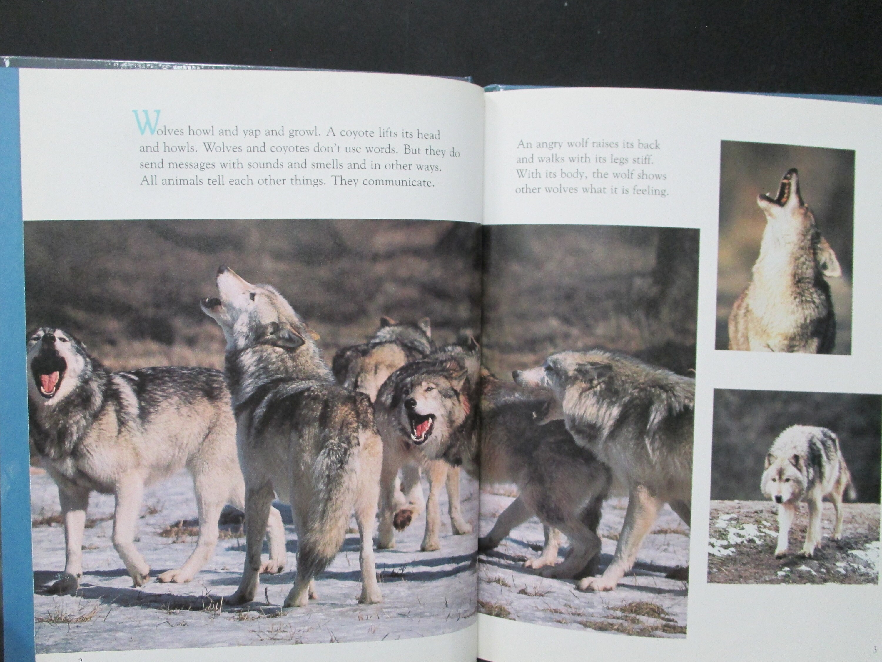 How Animals Talk, National Geographic Society Books for Young Explorers ...