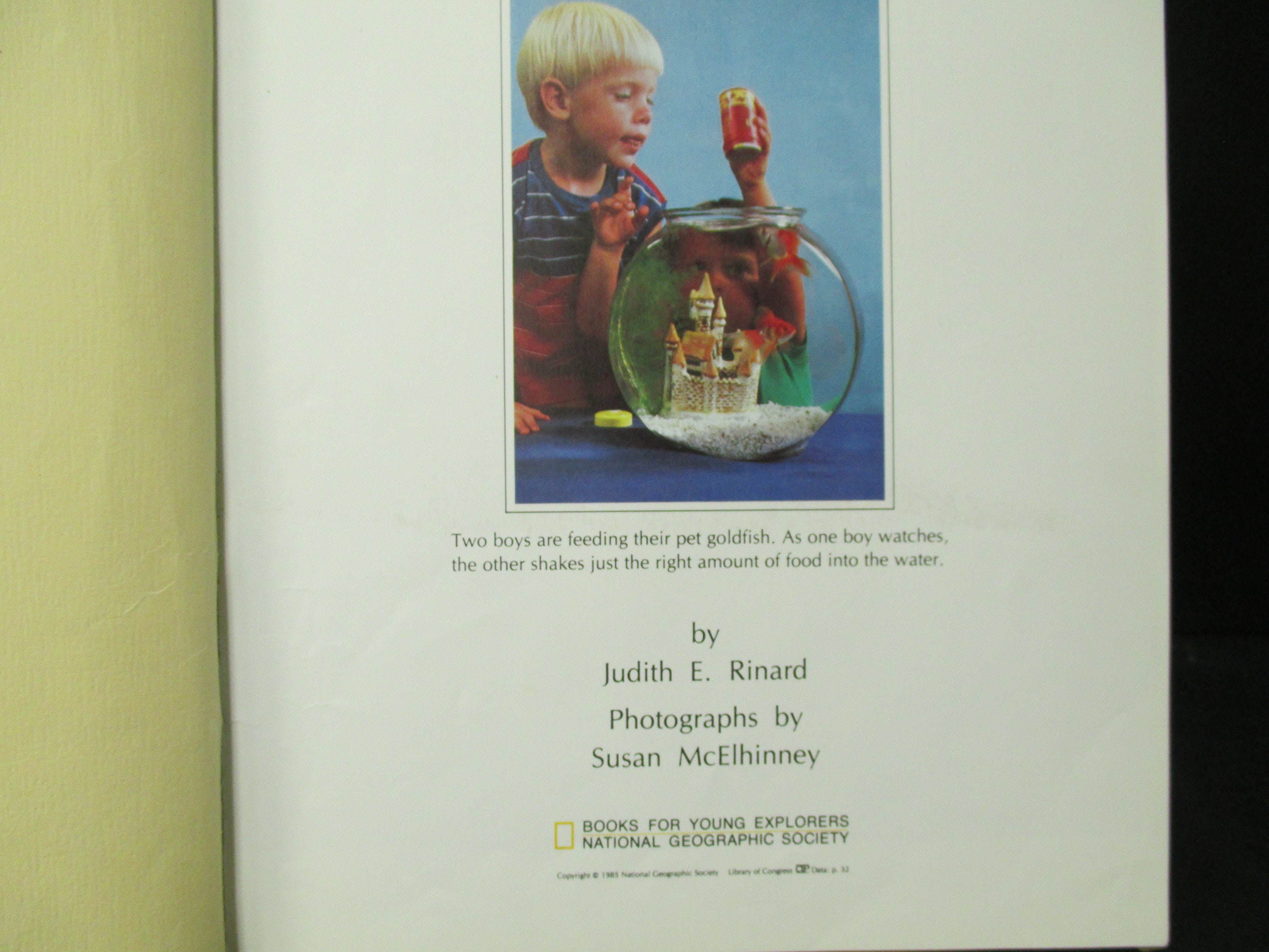 Helping Our Animal Friends National Geographic Society Books - Etsy