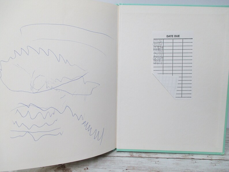 Cottontails Little Rabbits of Field and Forest by Ron Fisher National ...