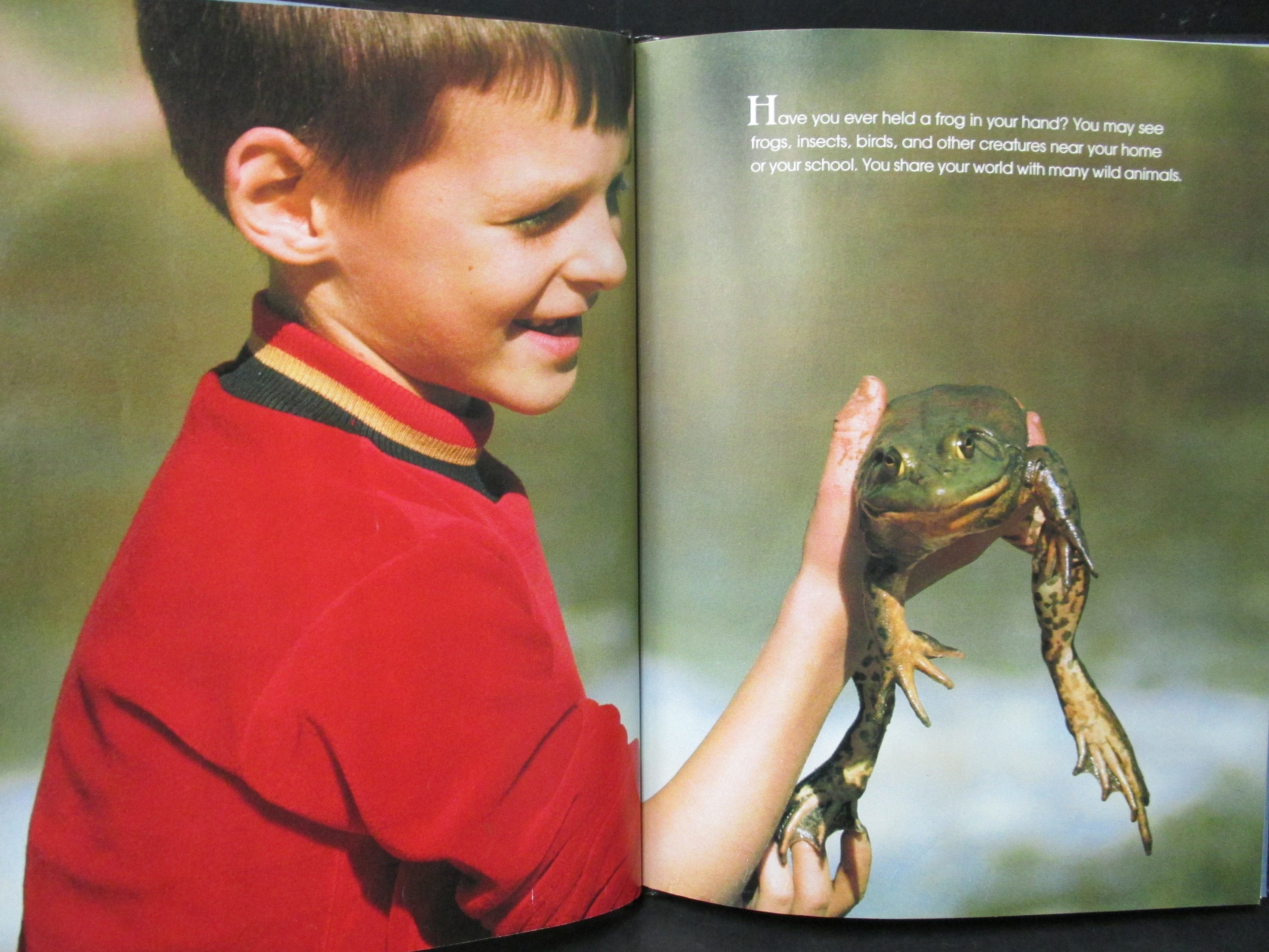 Saving Our Animal Friends, National Geographic Society Books for Young ...