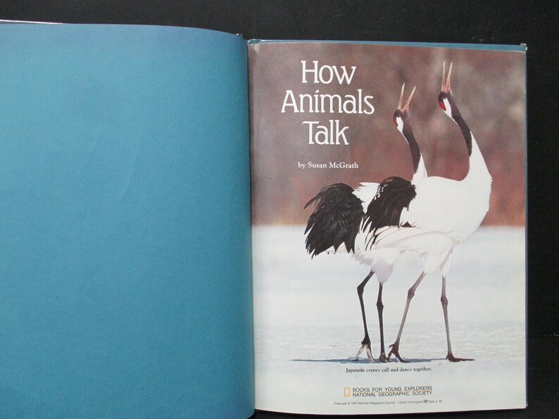 How Animals Talk National Geographic Society Books for Young - Etsy