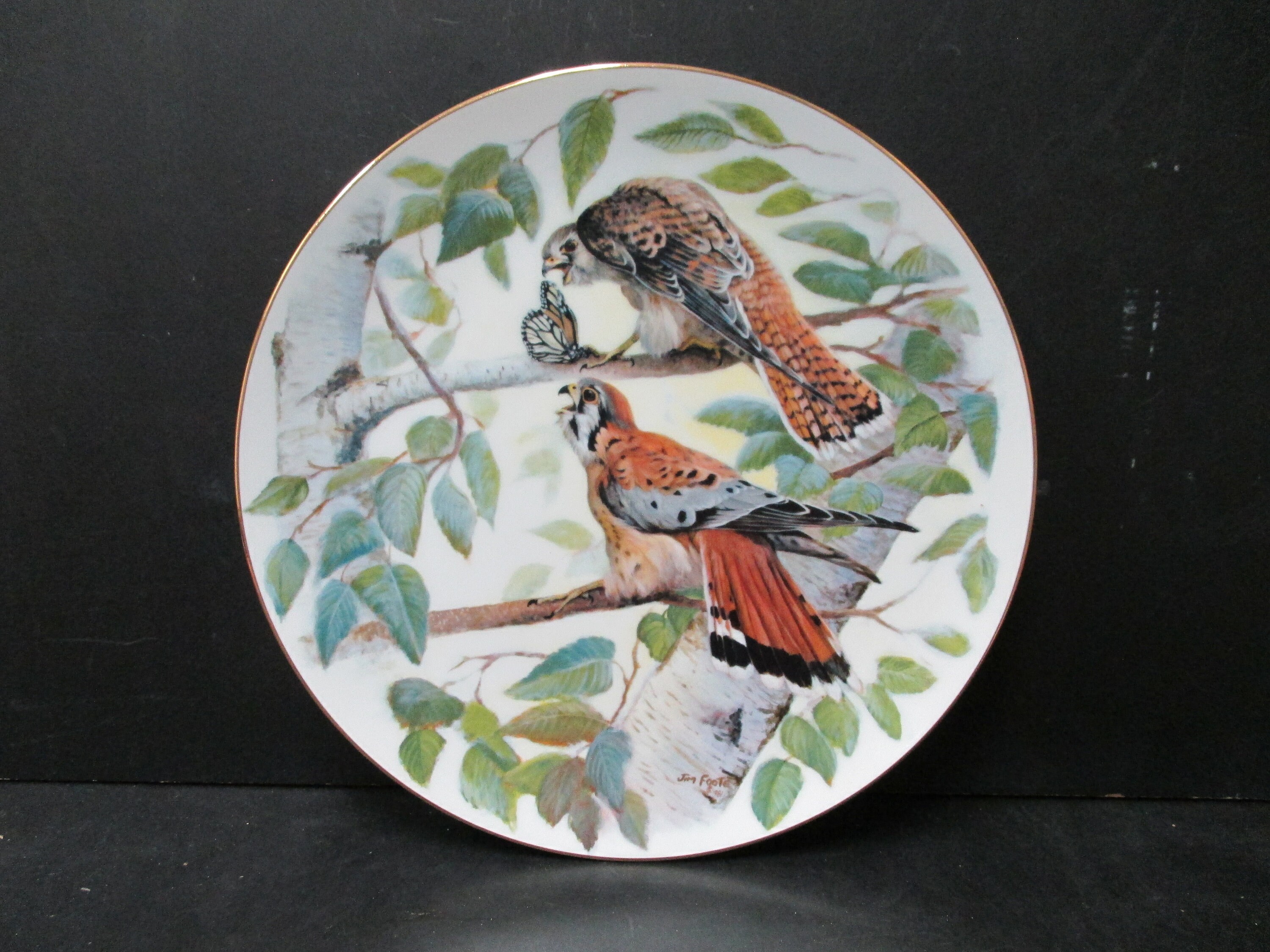 Vintage Decorative American Falcon Plate, Nature's Heritage Collection ...