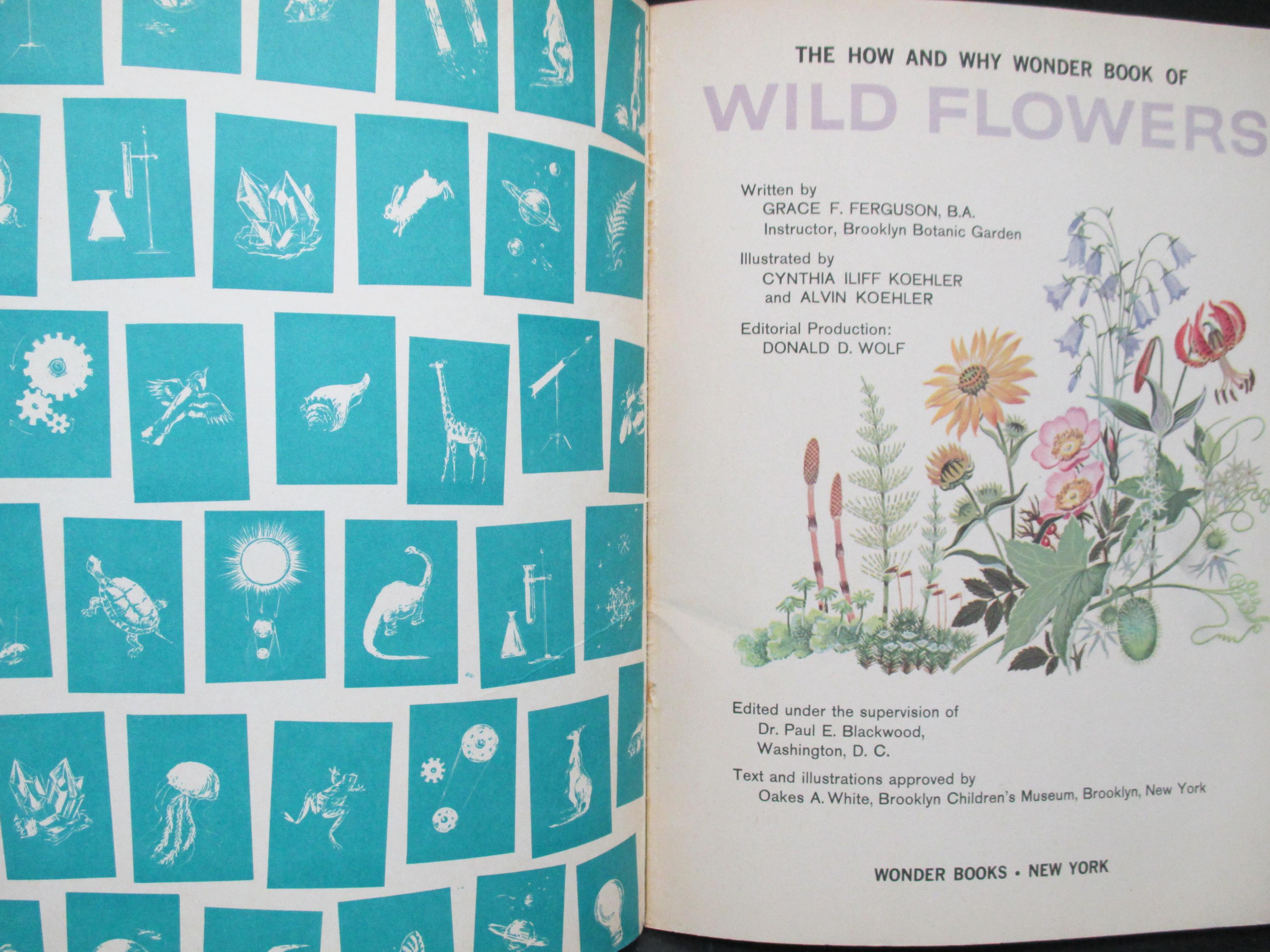 The How and Why Wonder Books Set of 5, Vintage Science Books ...