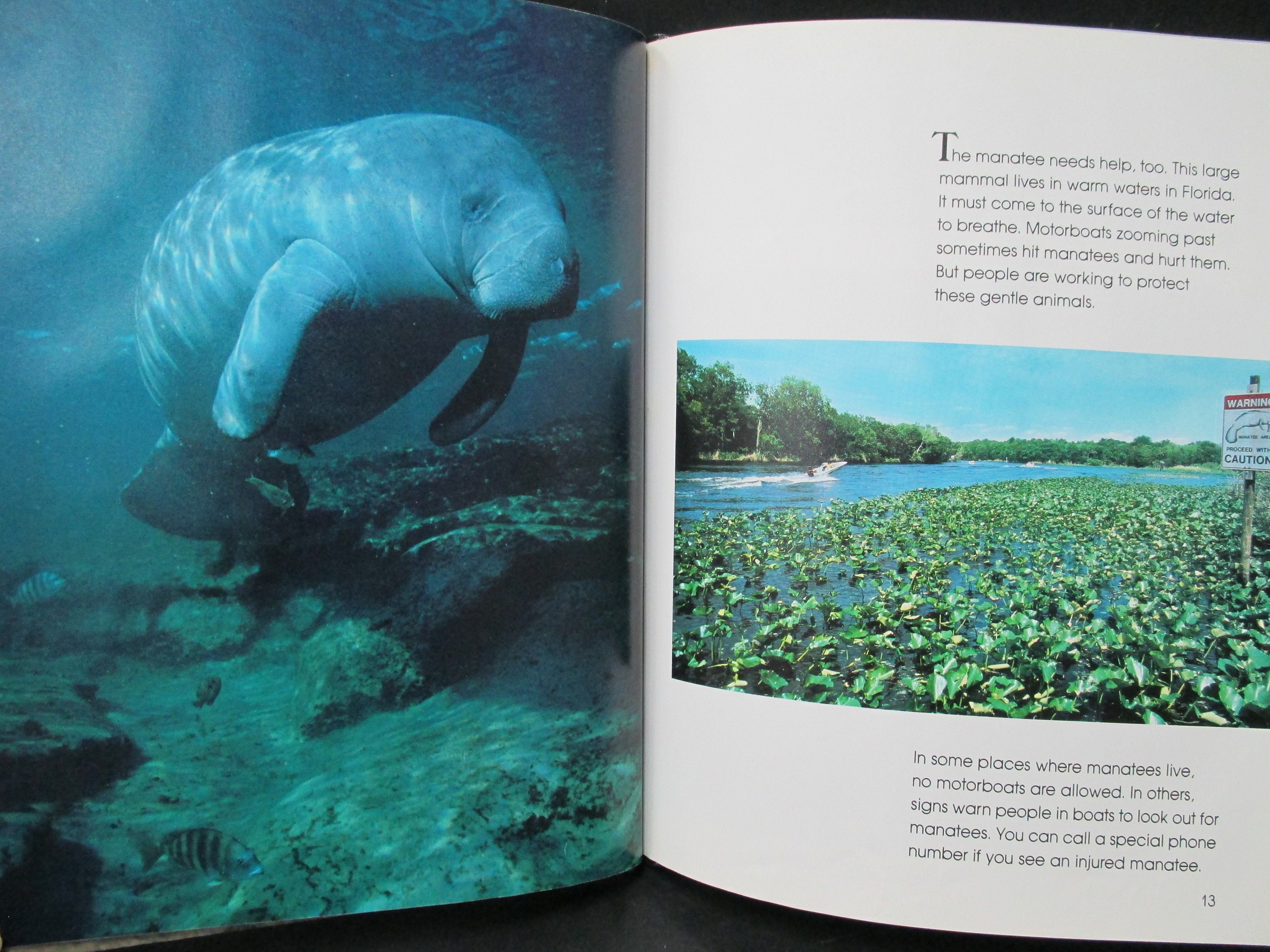 Saving Our Animal Friends, National Geographic Society Books for Young ...