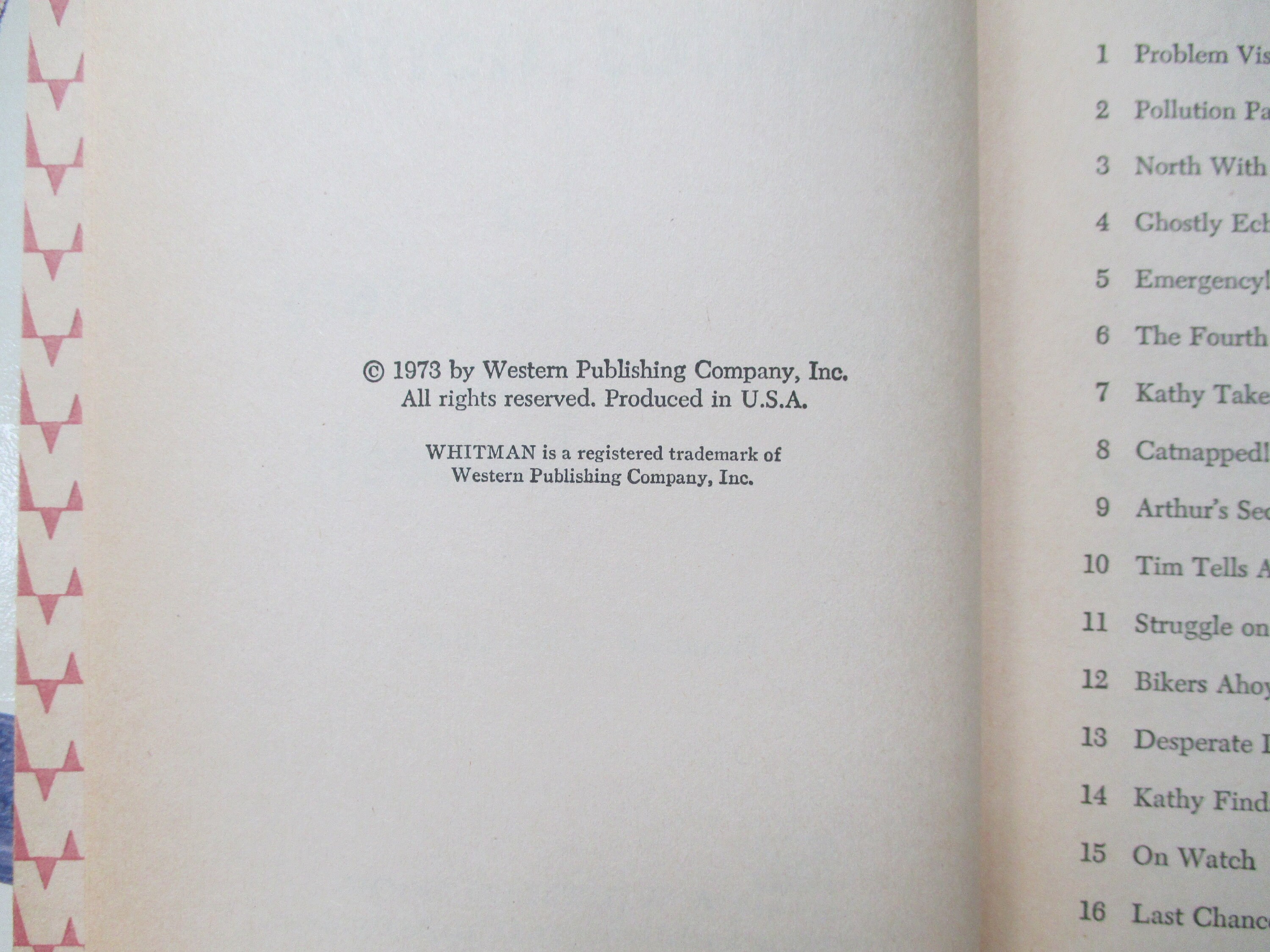 Bicycles North A Mystery on Wheels by Rita Ritchie a 1973 - Etsy