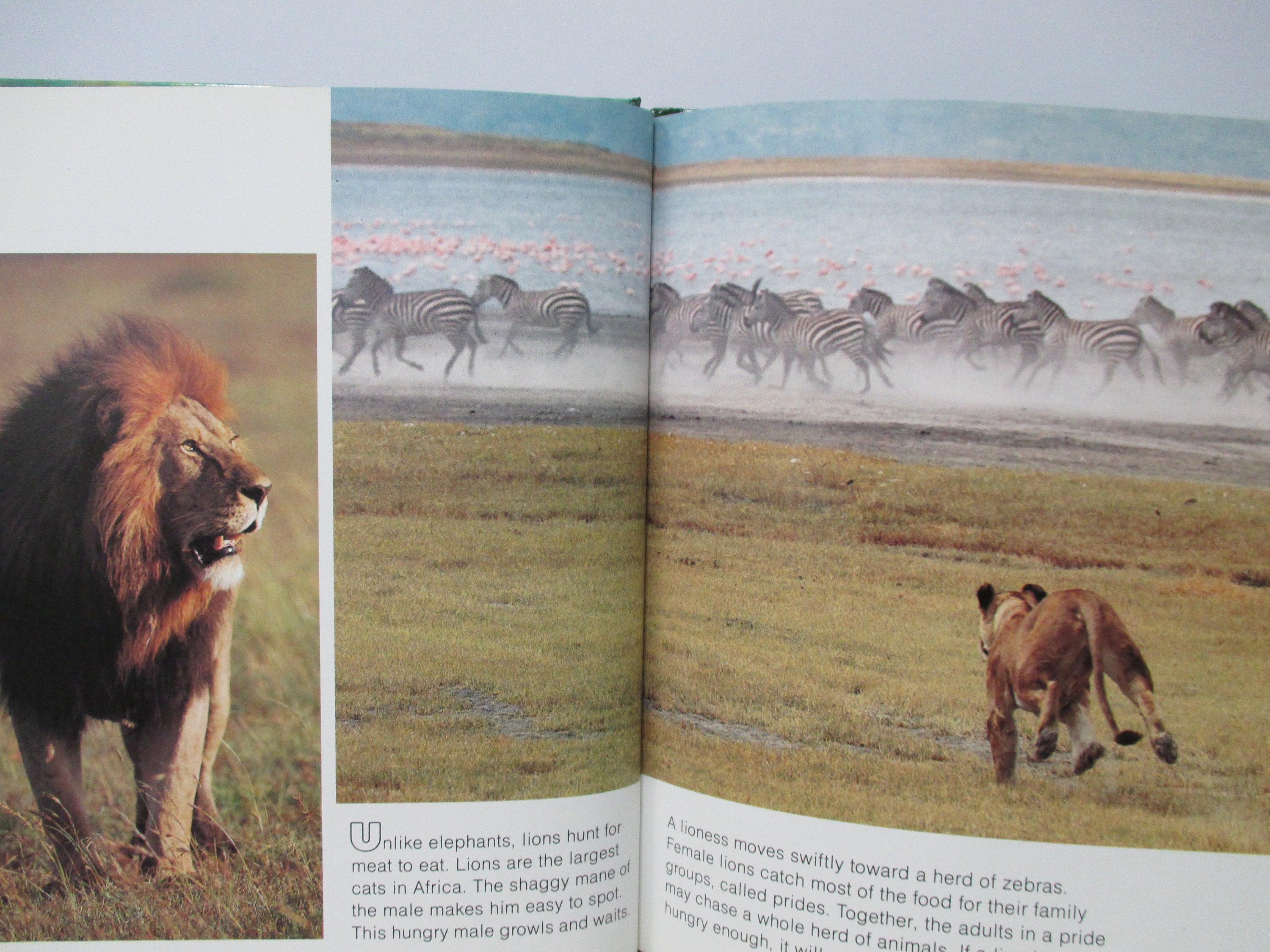 Africa's Animal Giants by Jane R Mccauley, National Geographic Society ...