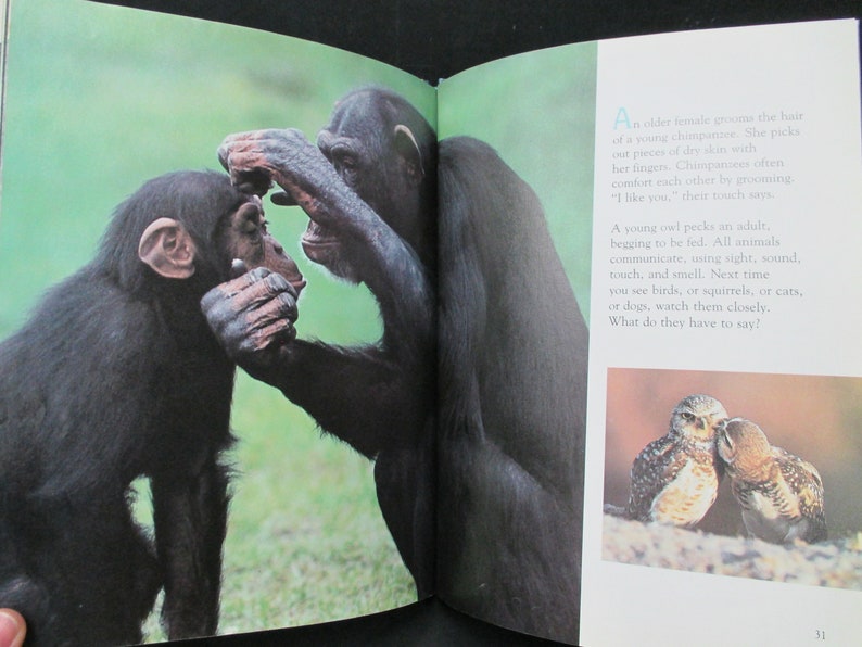 How Animals Talk, National Geographic Society Books for Young Explorers ...