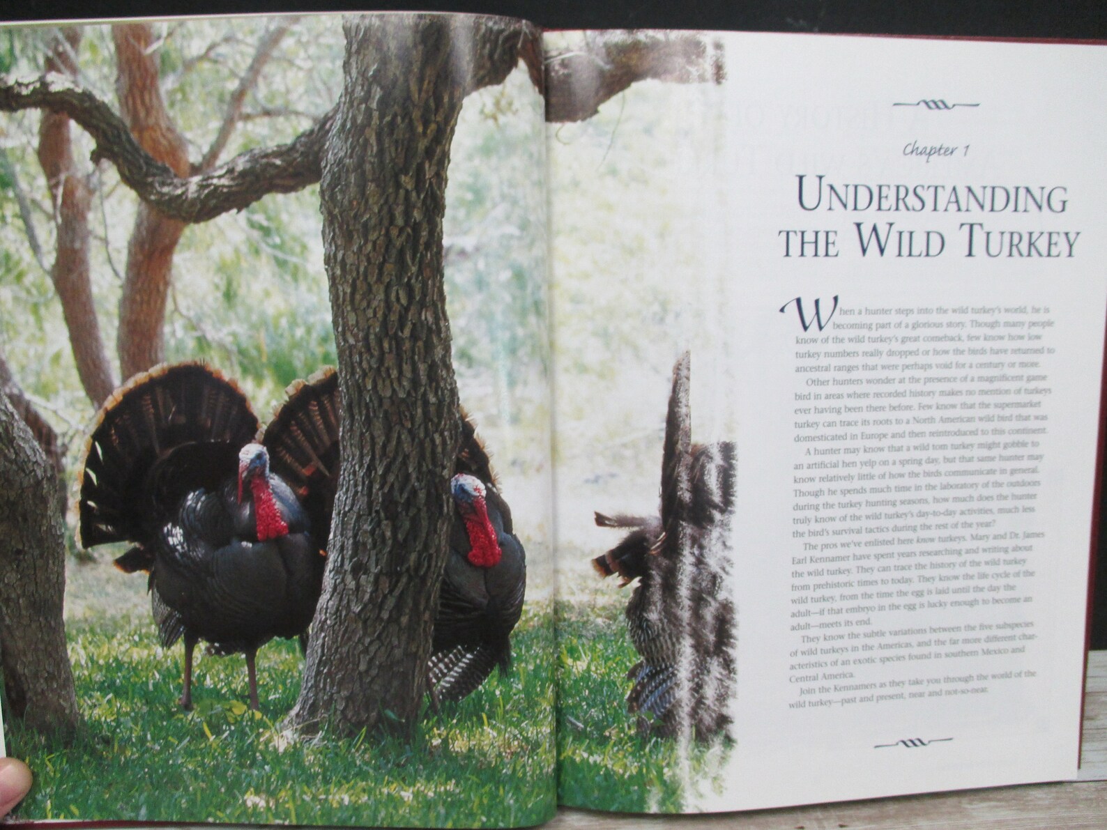 North American Hunting Club Secrets of the Turkey Pros Hunting - Etsy