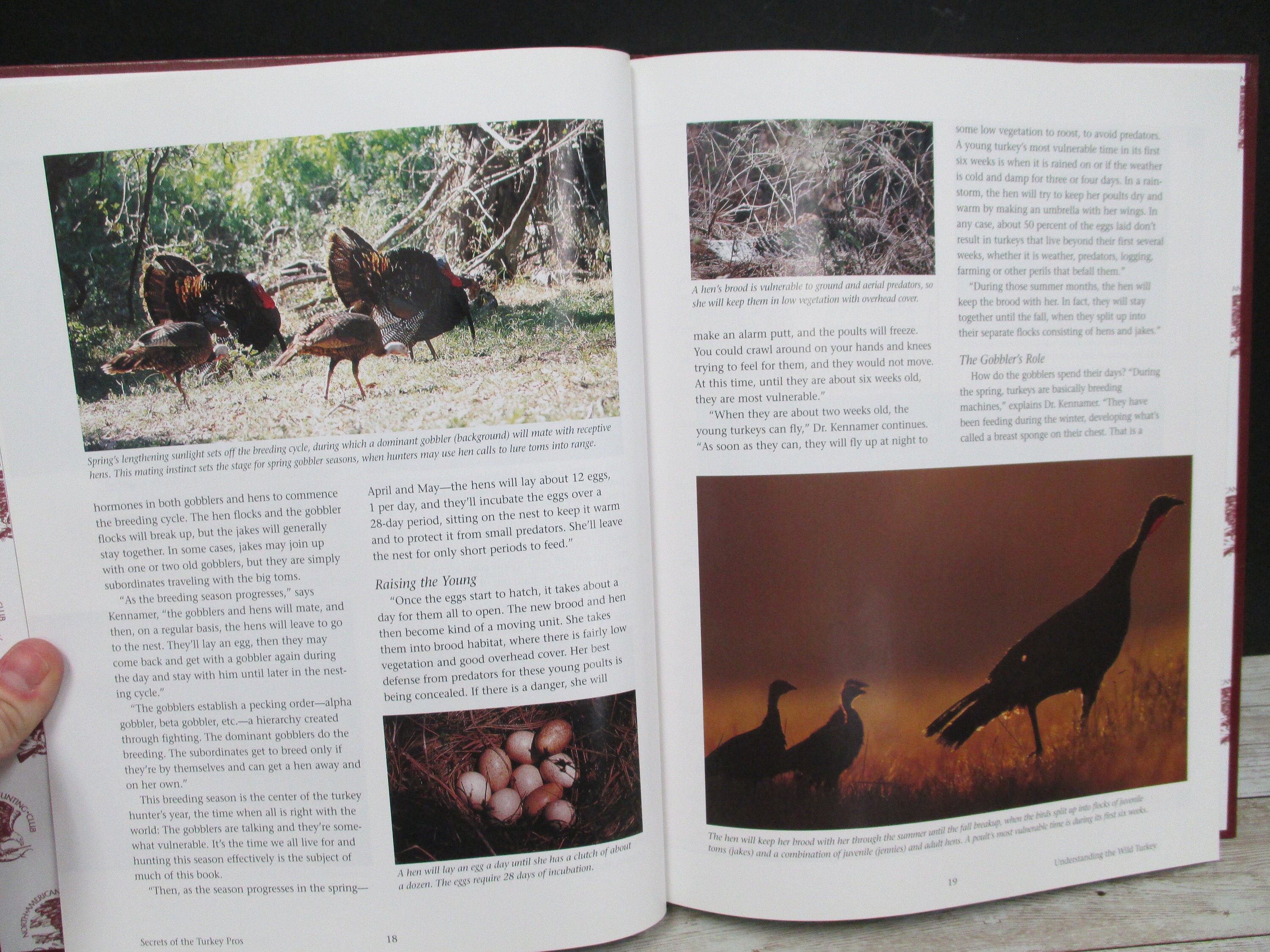 North American Hunting Club Secrets of the Turkey Pros Hunting - Etsy