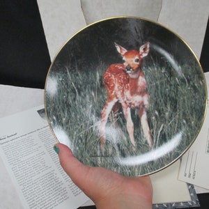 Vintage Decorative Fawn Plate, Plate Two: New Arrival From the Nature's ...