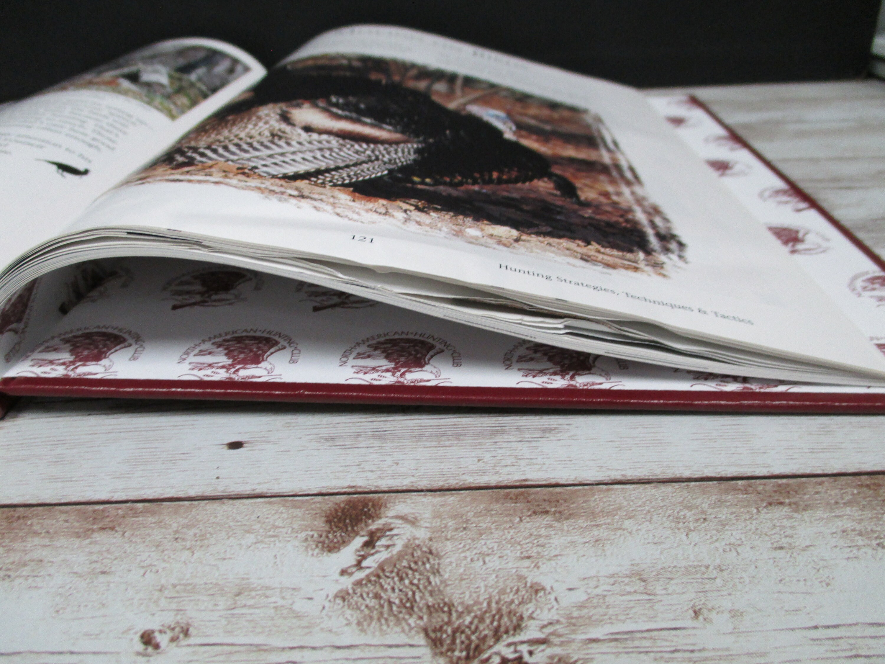 North American Hunting Club Secrets of the Turkey Pros Hunting - Etsy