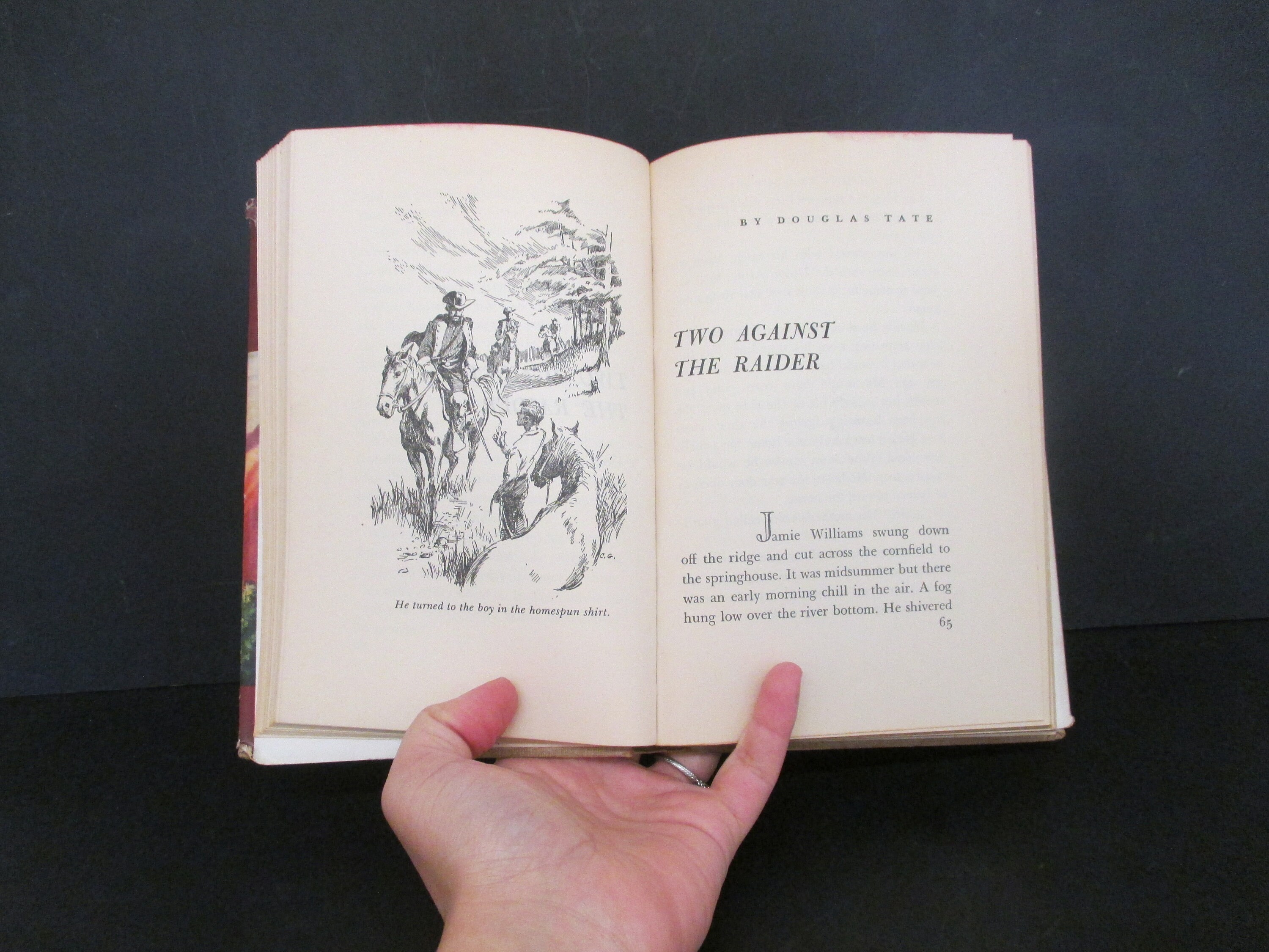 Young Readers Pioneer Stories, Edited by A.L. Furman, Secondmousefinds ...