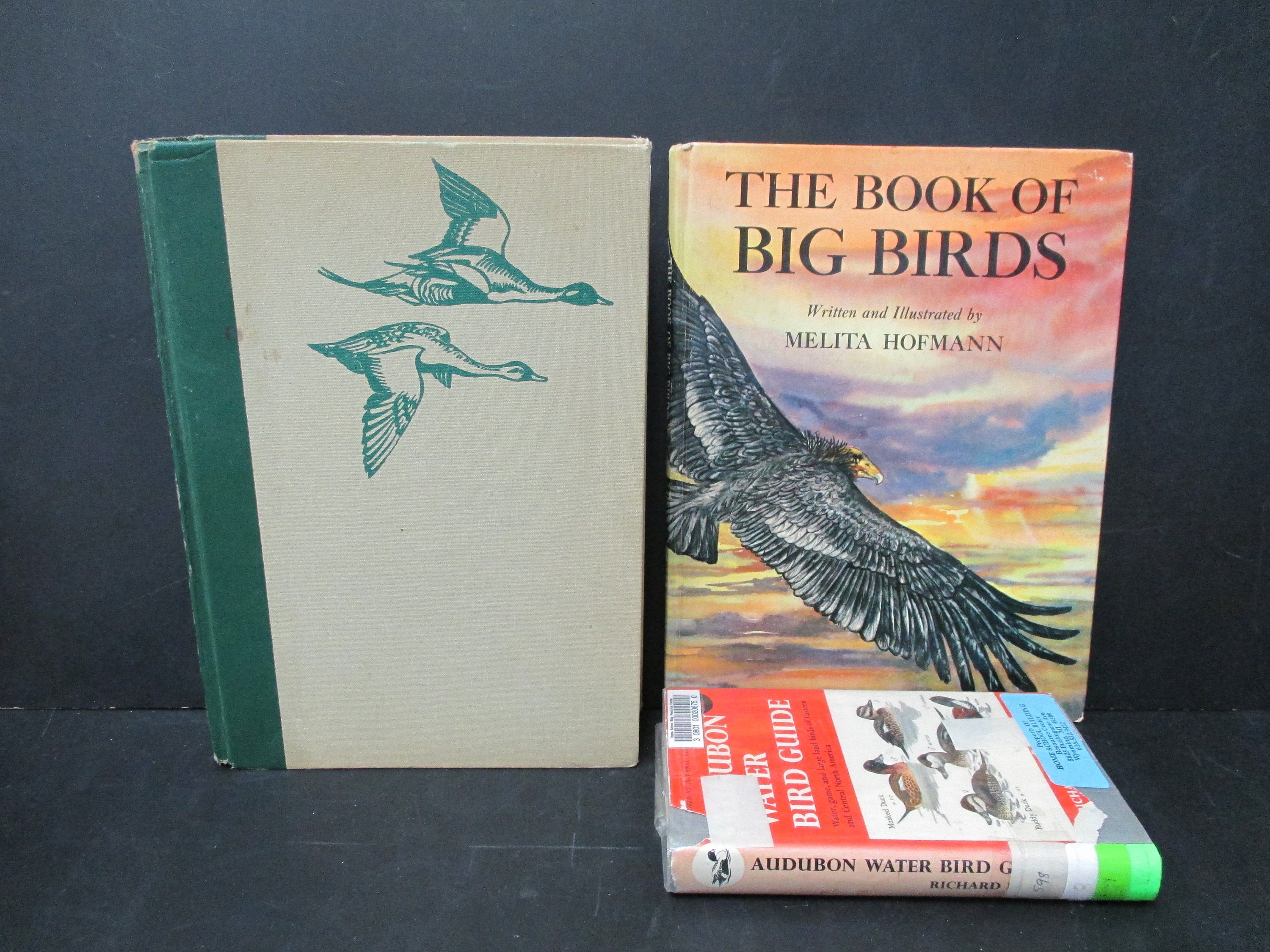 Vintage Collection of Books About Birds, Birds of America, the Book of ...