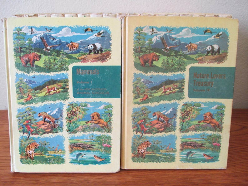 The Illustrated Encyclopedia of Animal Life the Animal Kingdom Mammals ...