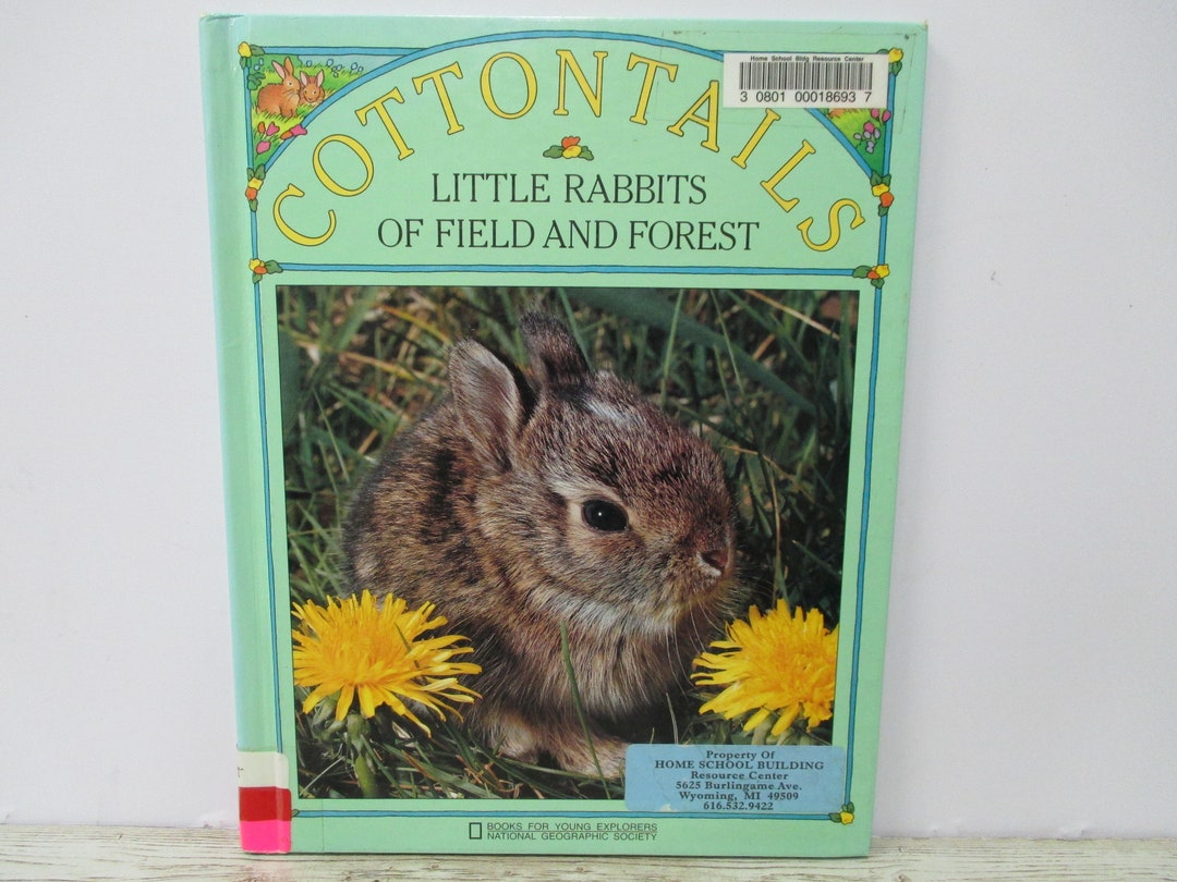 Cottontails Little Rabbits of Field and Forest by Ron Fisher National ...