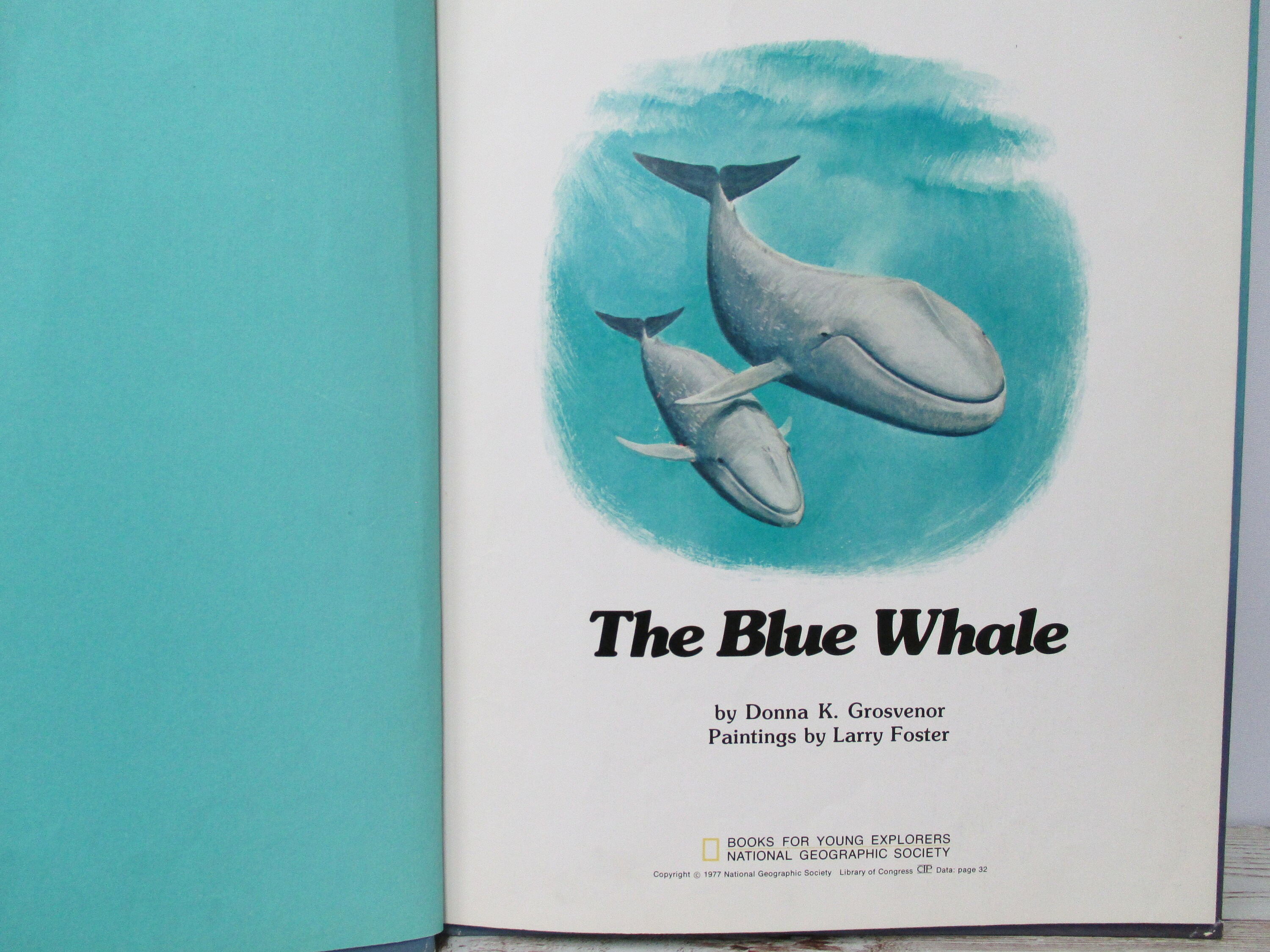 The Blue Whale by Donna Grosvenor National Geographic Society Books for ...