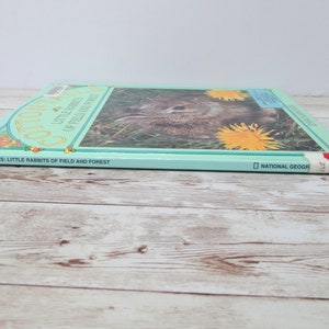 Cottontails Little Rabbits of Field and Forest by Ron Fisher National ...