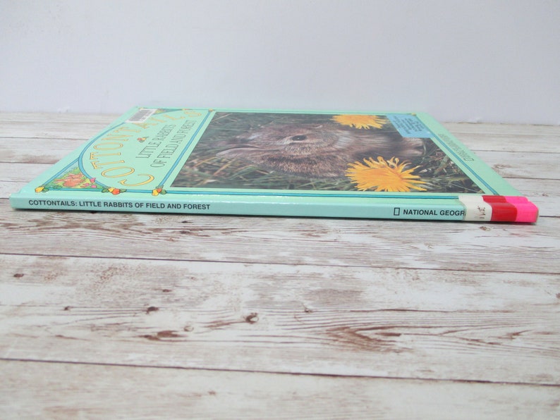 Cottontails Little Rabbits of Field and Forest by Ron Fisher National ...