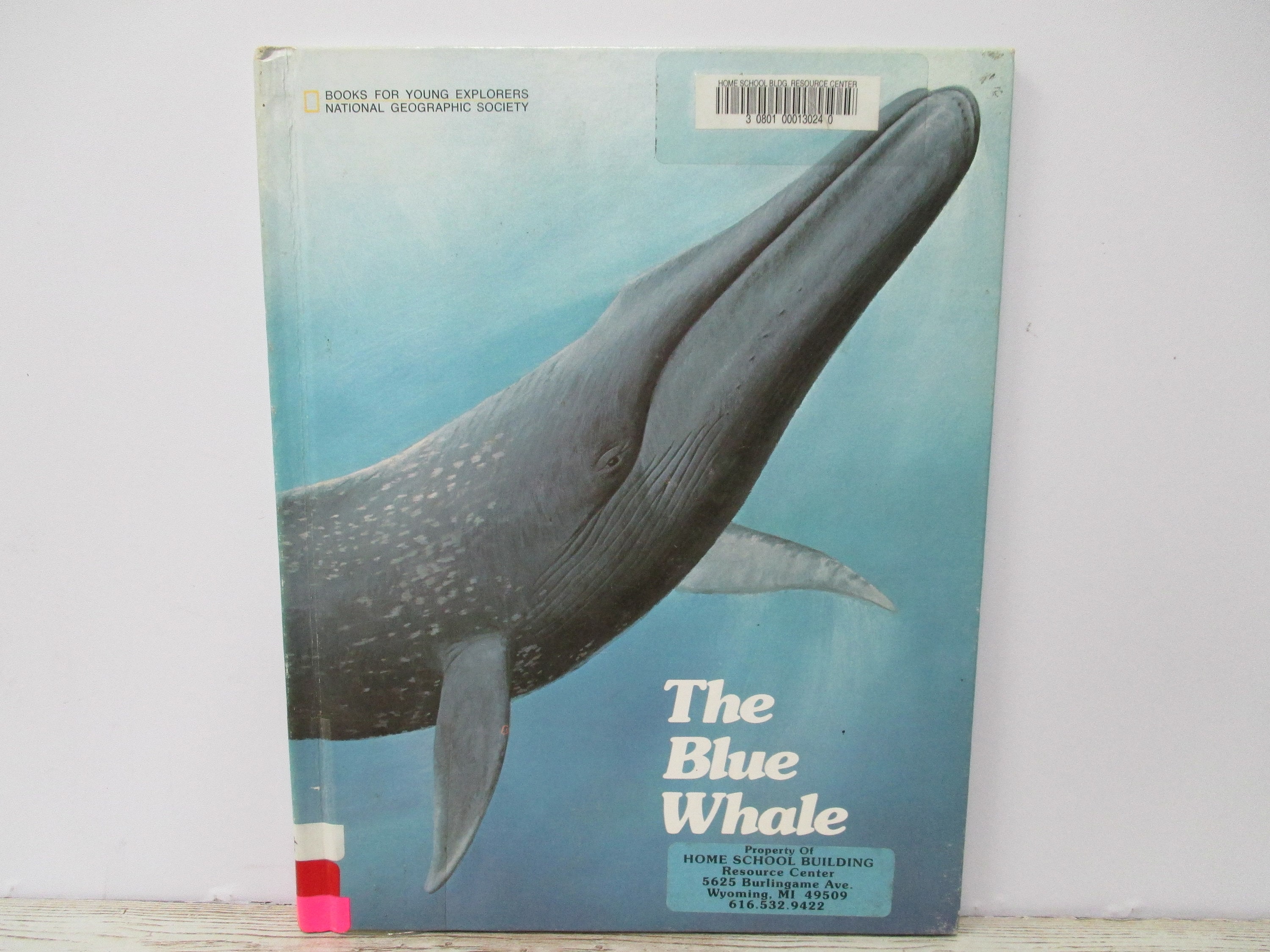 The Blue Whale by Donna Grosvenor National Geographic Society Books for ...