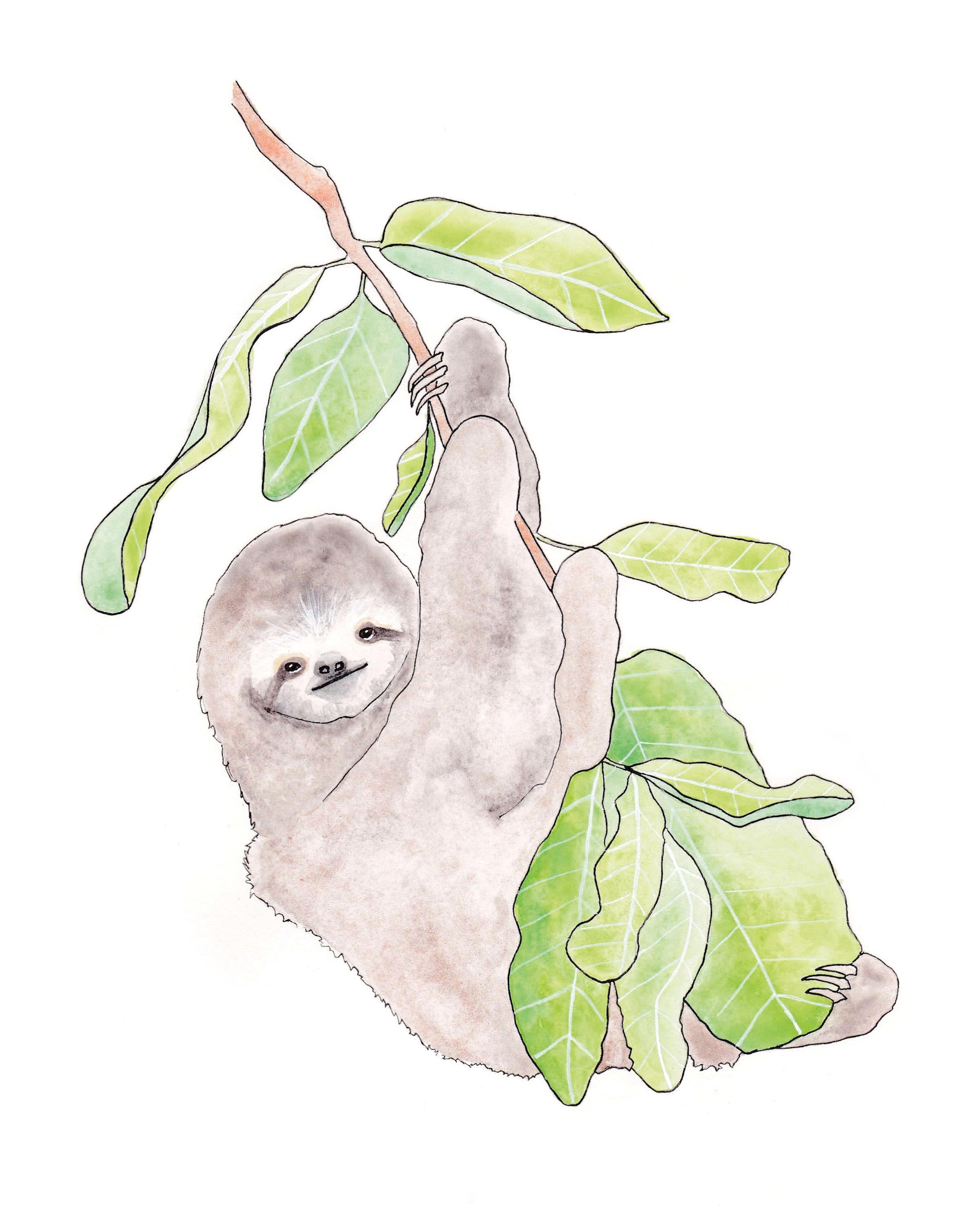 Watercolor Sloth Sloth Painting Animal Jungle Nursery - Etsy