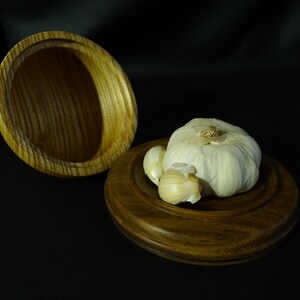 Garlic Box in Sophora Japonica & Walnut. Garlic Cover. Garlic Pot ...