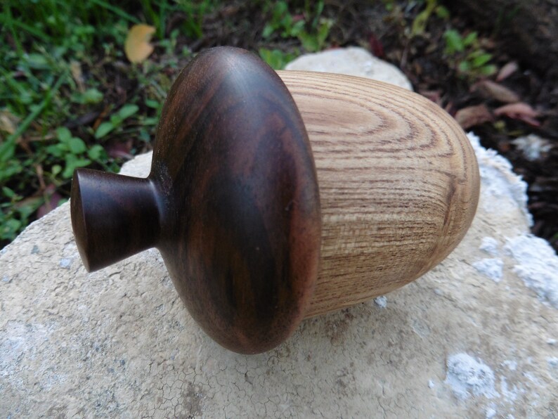 Acorn Box Wooden Box With Acorn Cap Lid in Walnut. Base in - Etsy