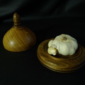 Garlic Box in Sophora Japonica & Walnut. Garlic Cover. Garlic Pot ...