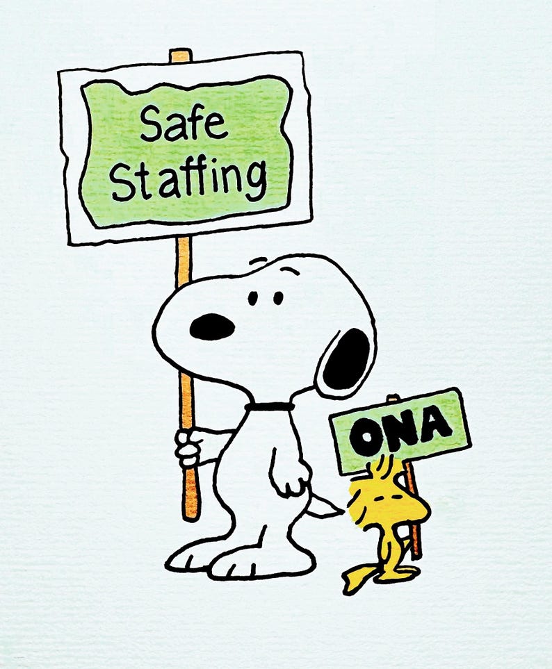 Snoopy on Strike - Oregon Nurses - Laptop & Water Bottle Sticker - Etsy