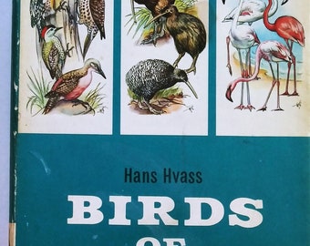 Vintage Golden Library of Knowledge Birds of the World - Etsy