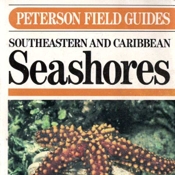 Seashore Decor - Etsy