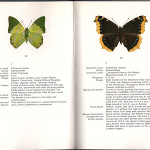 The World of Butterflies by Dickens & Storey, Vintage Book, Field ...