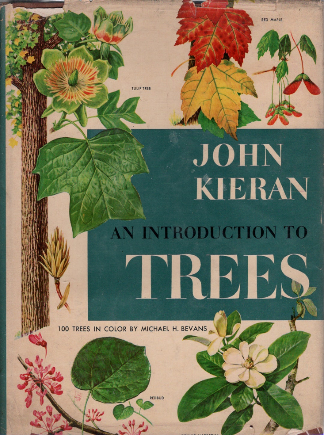 An Introduction to Trees by John Kieran, Vintage First Edition Book ...