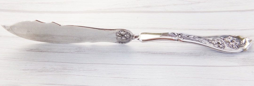 Vintage W.R. Silver Plate Carnation Butter Knife: Repoussé Floral ...
