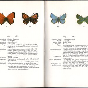 The World of Butterflies by Dickens & Storey, Vintage Book, Field ...