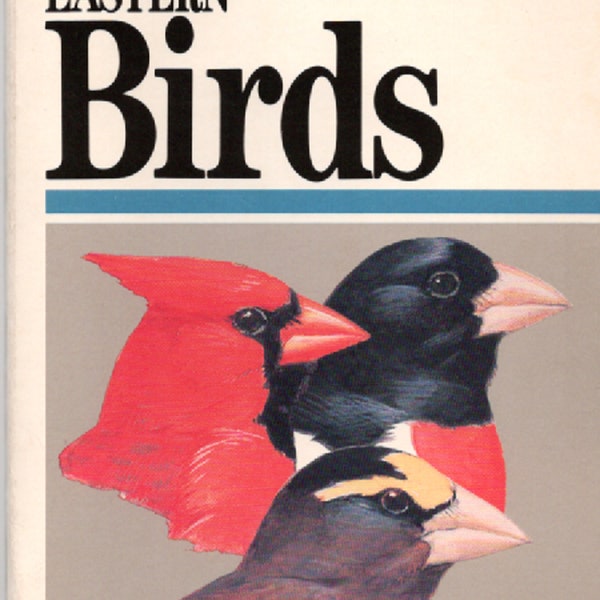 Vintage Bird Book - Etsy