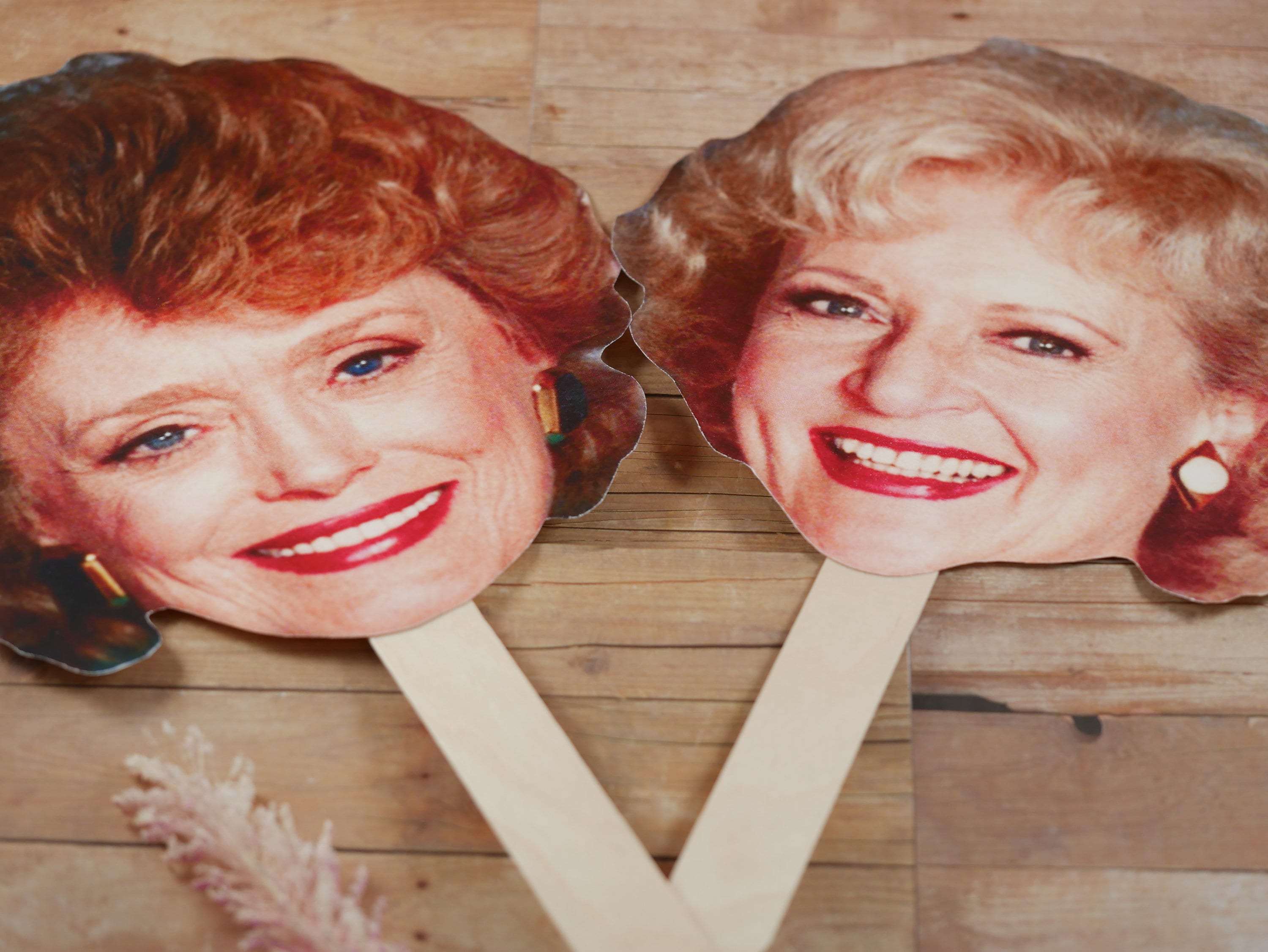 The Golden Girls Photo Booth Golden Girls Photo Booth Props | Etsy