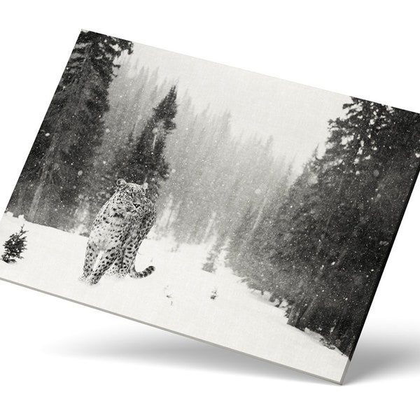 Snow Leopard Print - Etsy
