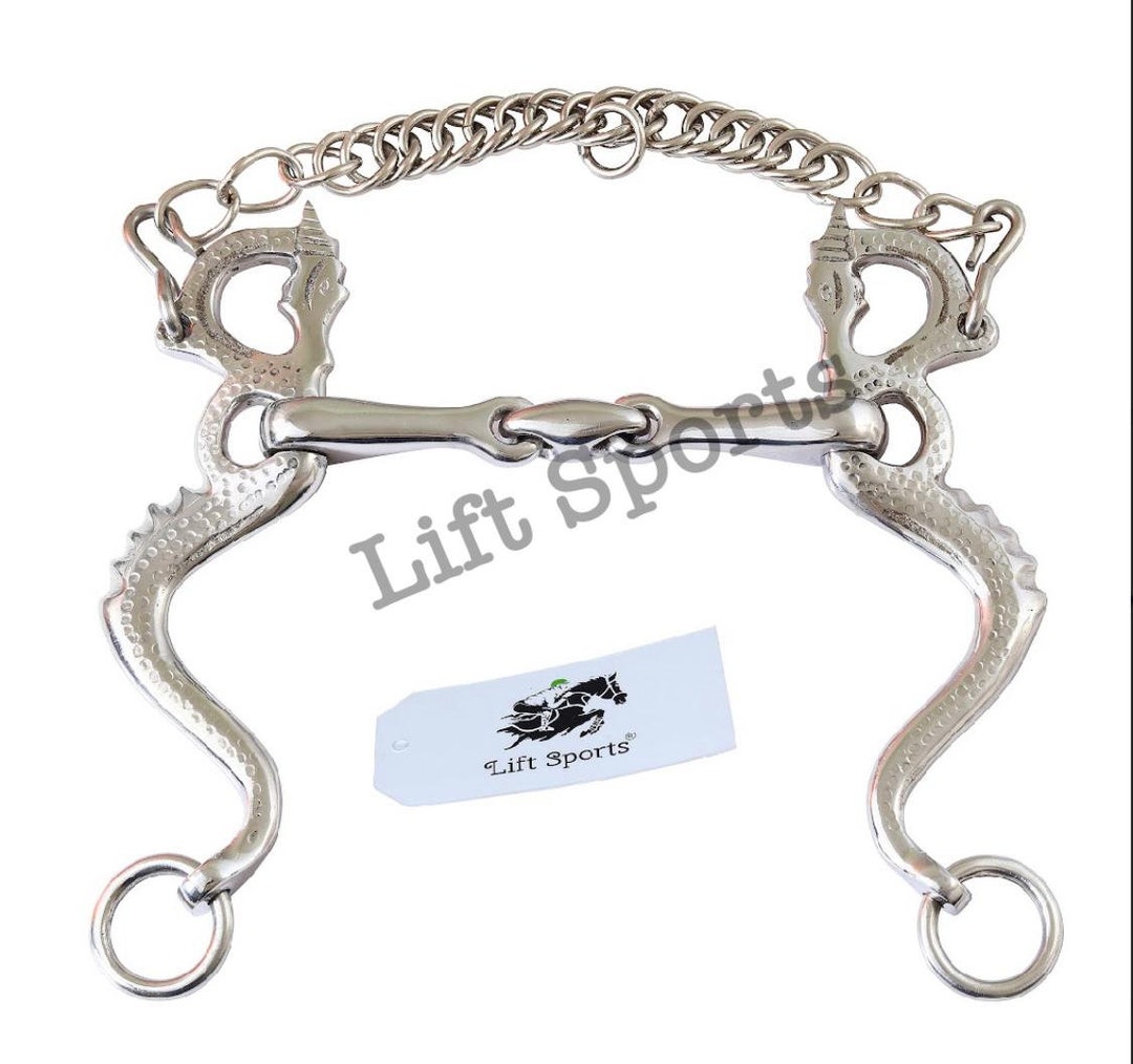 New Dragon Horse Bit Snaffle Bit With Chain With Oval Link - Etsy